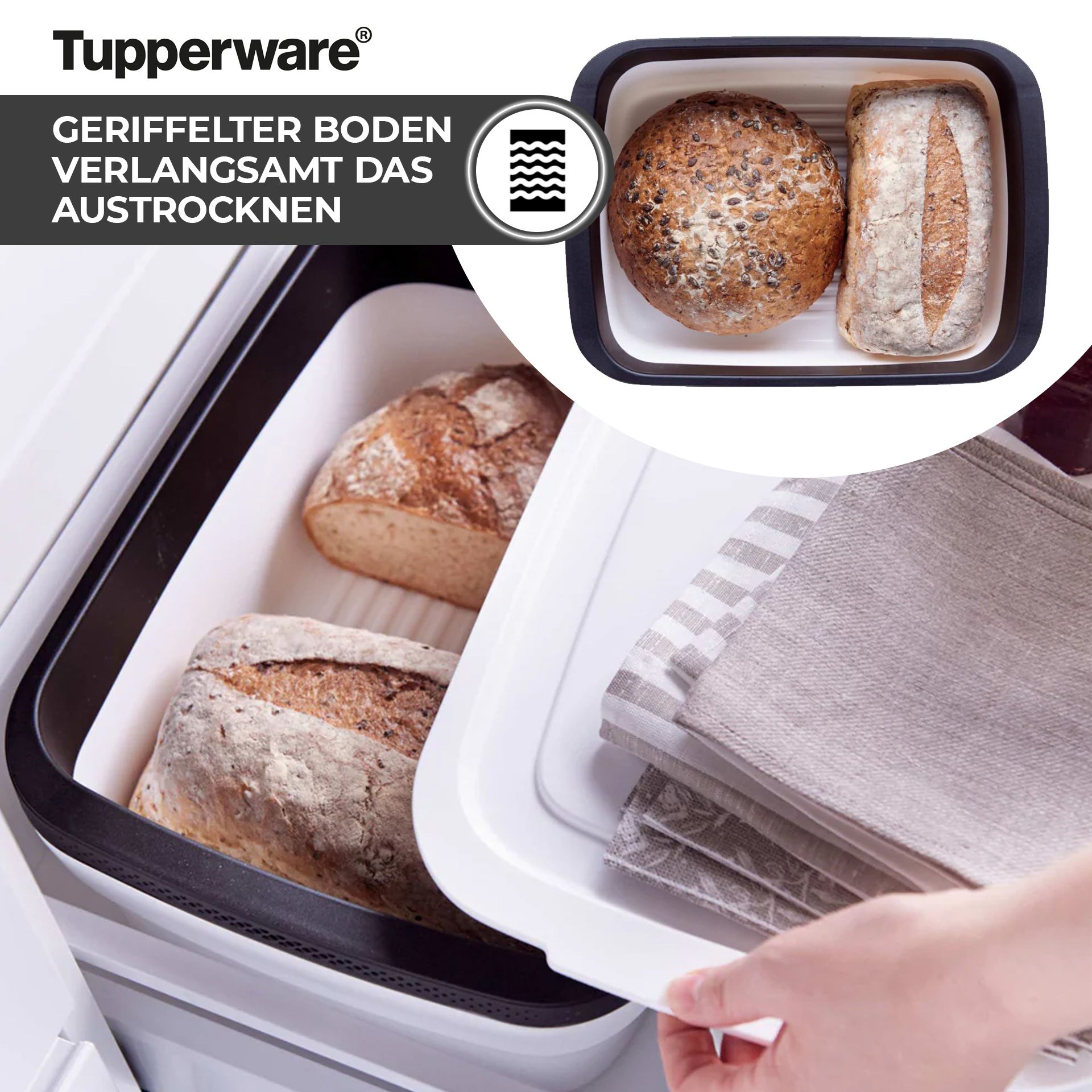 Brotkasten Tupperware BreadSmart Large | Large | BM1000572-L